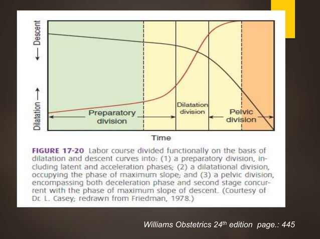 Normal Labor in Obstetrics | PPTX | Pregnancy | Reproductive Health