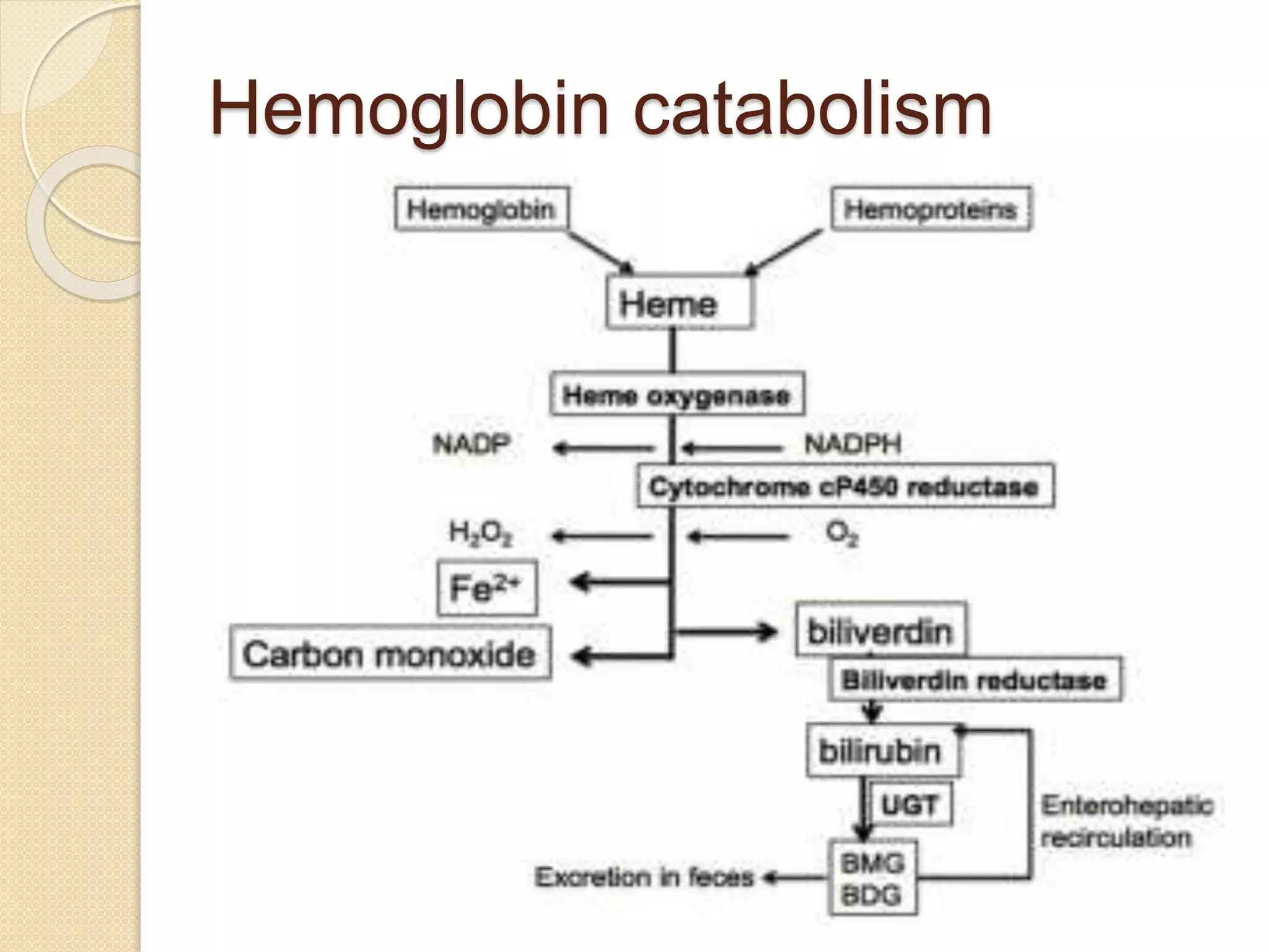 Pathophysiology of obstructive jaundice | PPTX