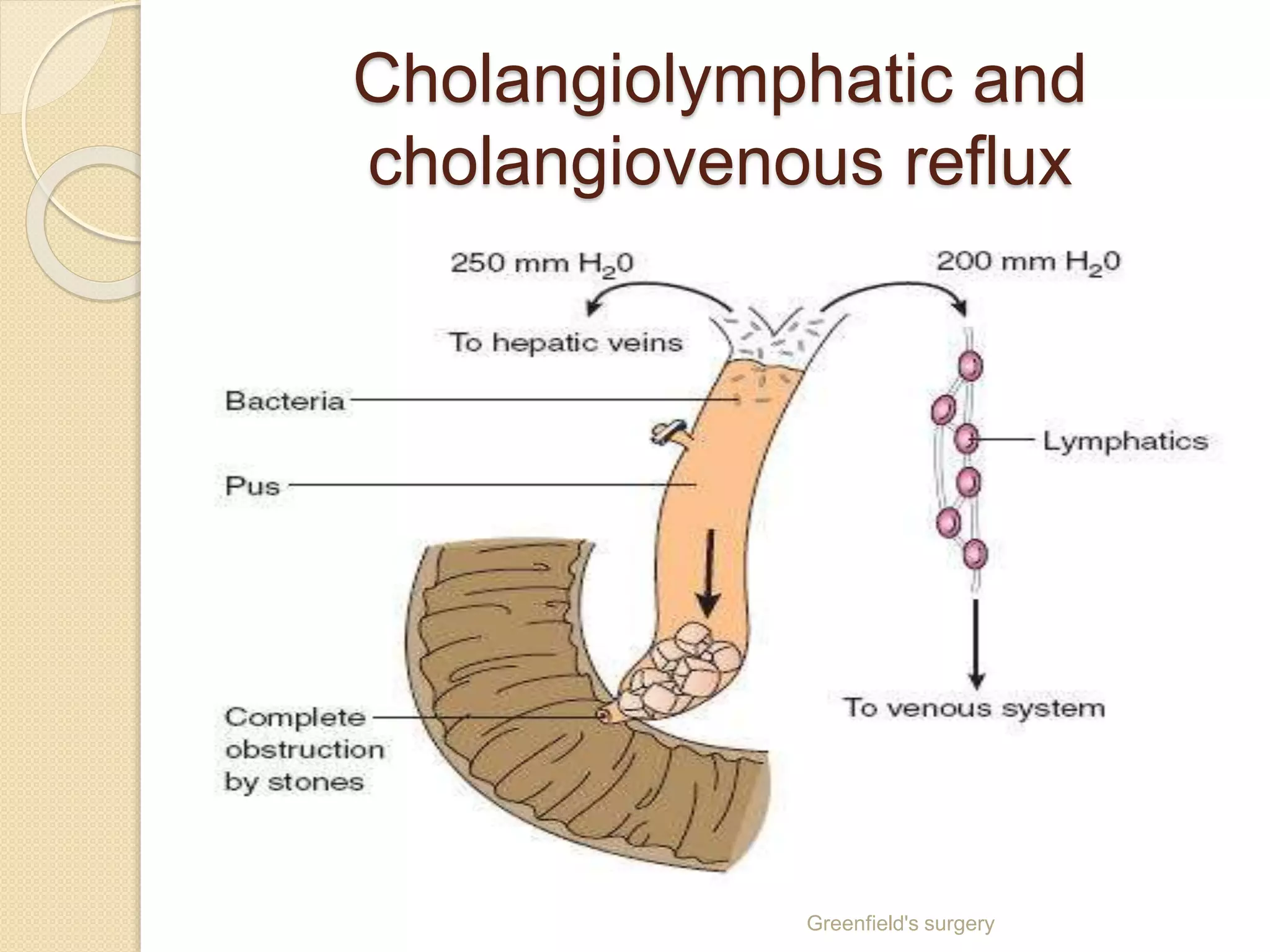 Pathophysiology of obstructive jaundice | PPTX