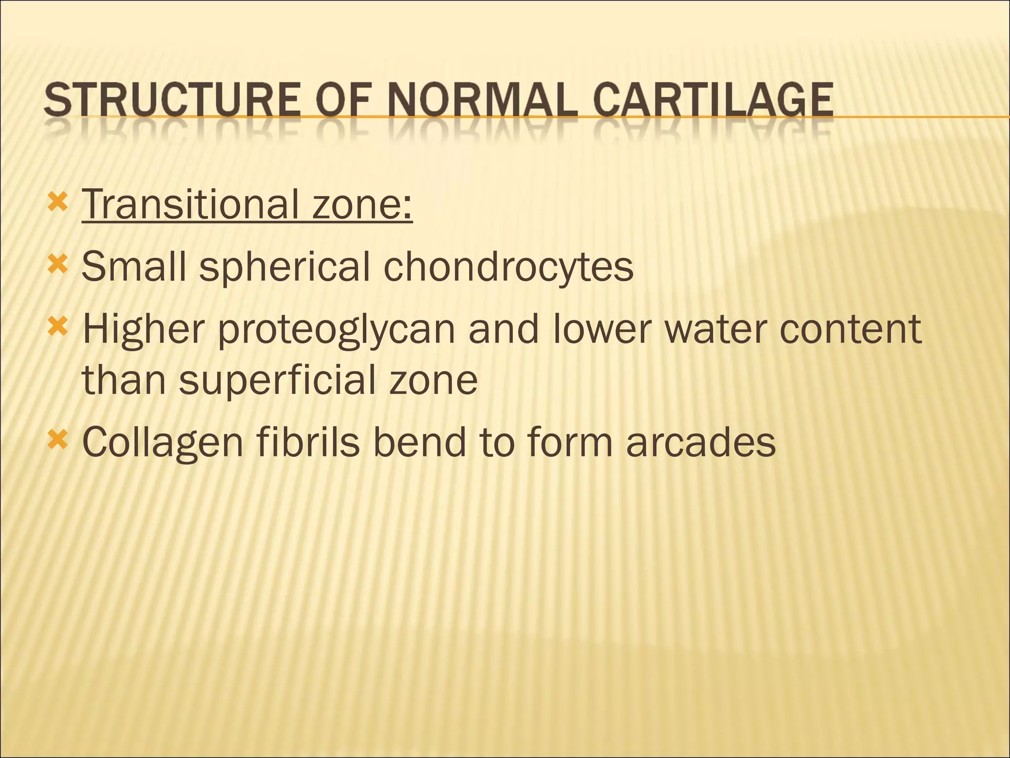 Pathophysiology+of+Osteoarthritis | PPT