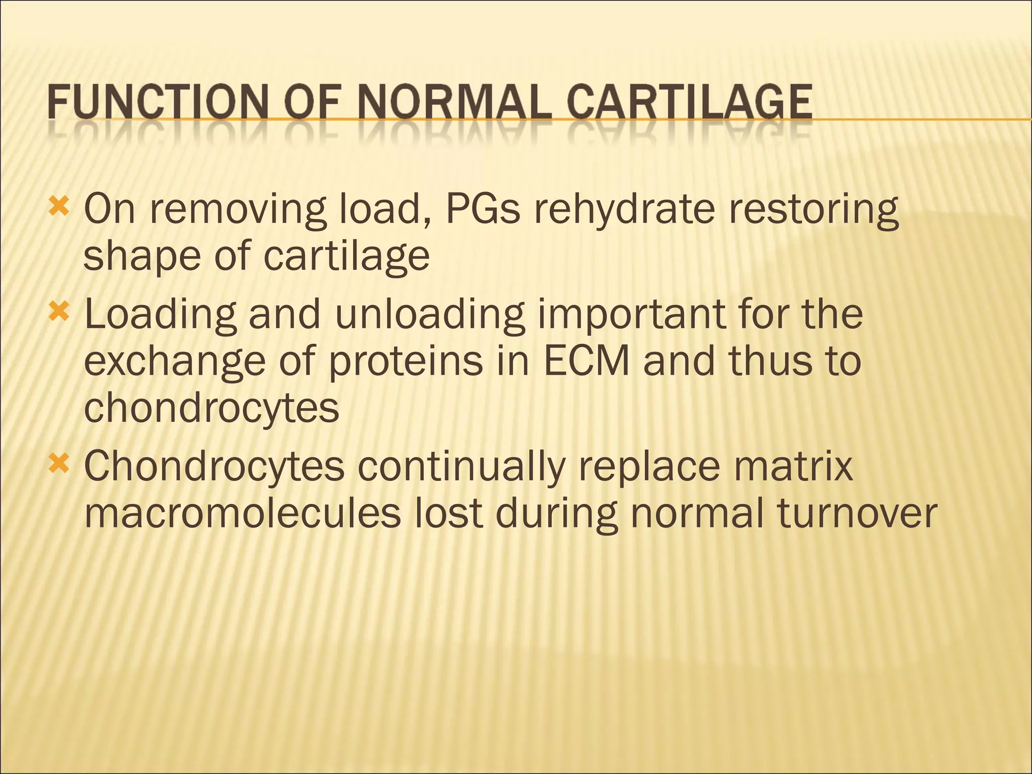 Pathophysiology+of+Osteoarthritis | PPT