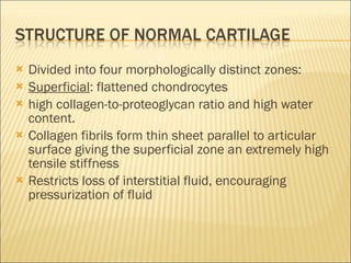 Pathophysiology+of+Osteoarthritis | PPT