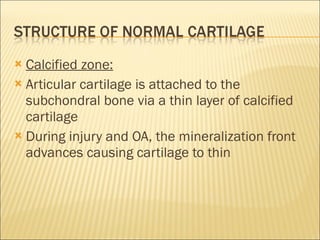 Pathophysiology+of+Osteoarthritis | PPT