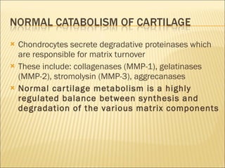 Pathophysiology+of+Osteoarthritis | PPT
