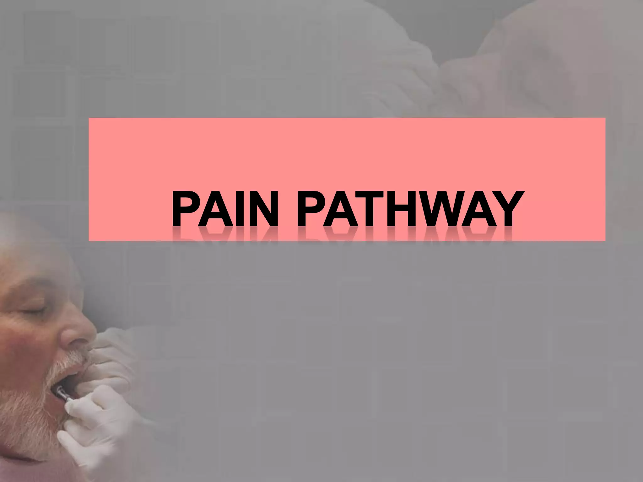 Pathophysiology of pain | PPTX
