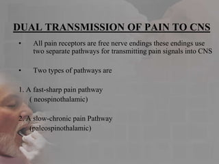 Pathophysiology of pain | PPTX