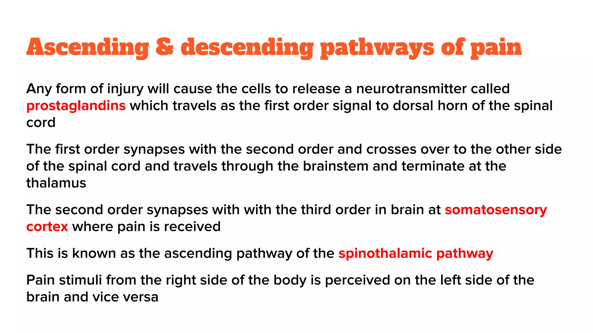 Pathophysiology of pain.pptx