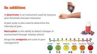 Pathophysiology of pain.pptx