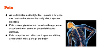 Pathophysiology of pain.pptx
