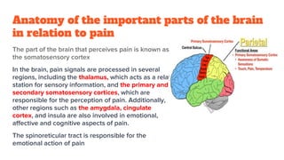 Pathophysiology of pain.pptx