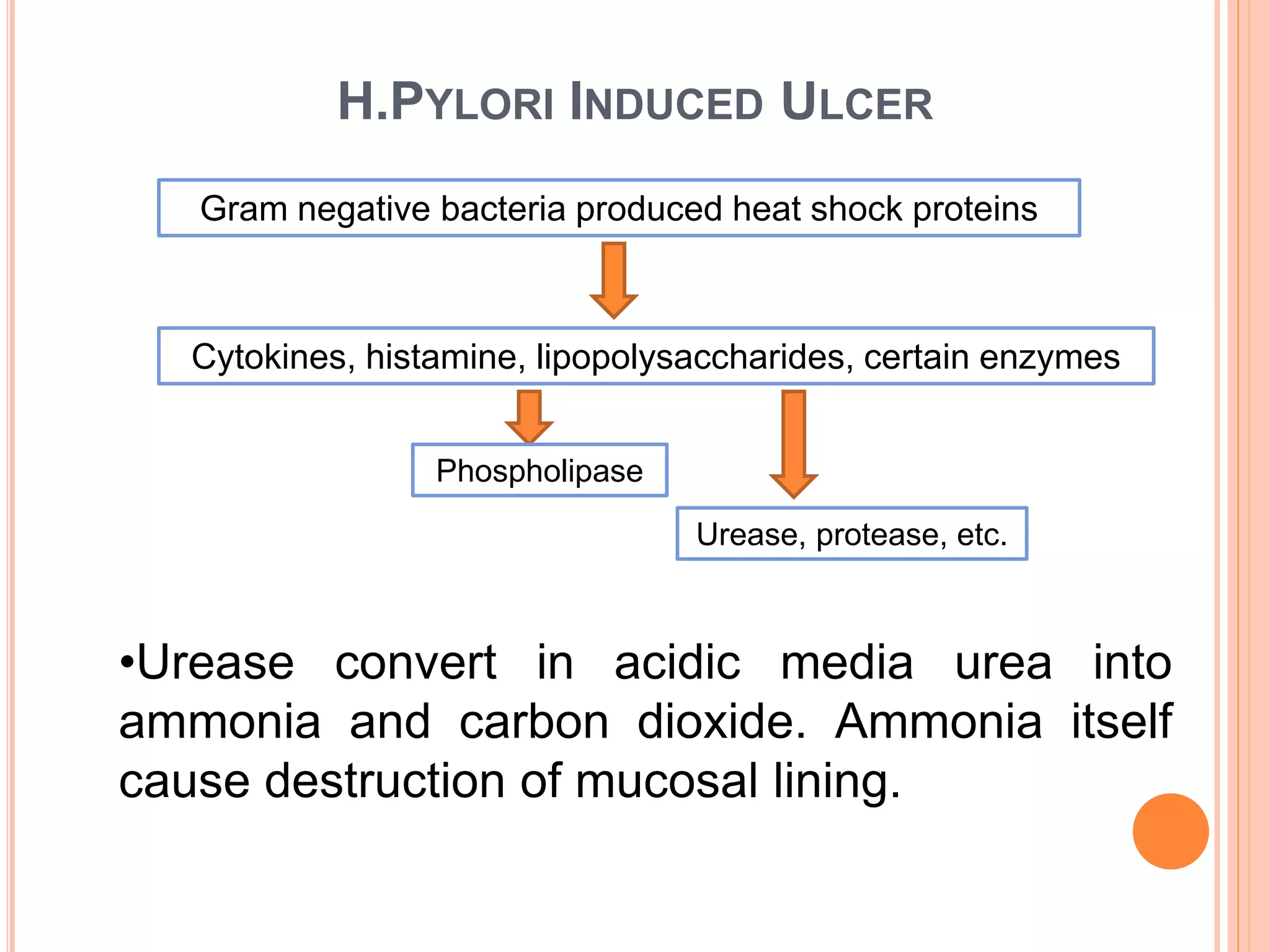 Pathophysiology of peptic ulcer | PPTX