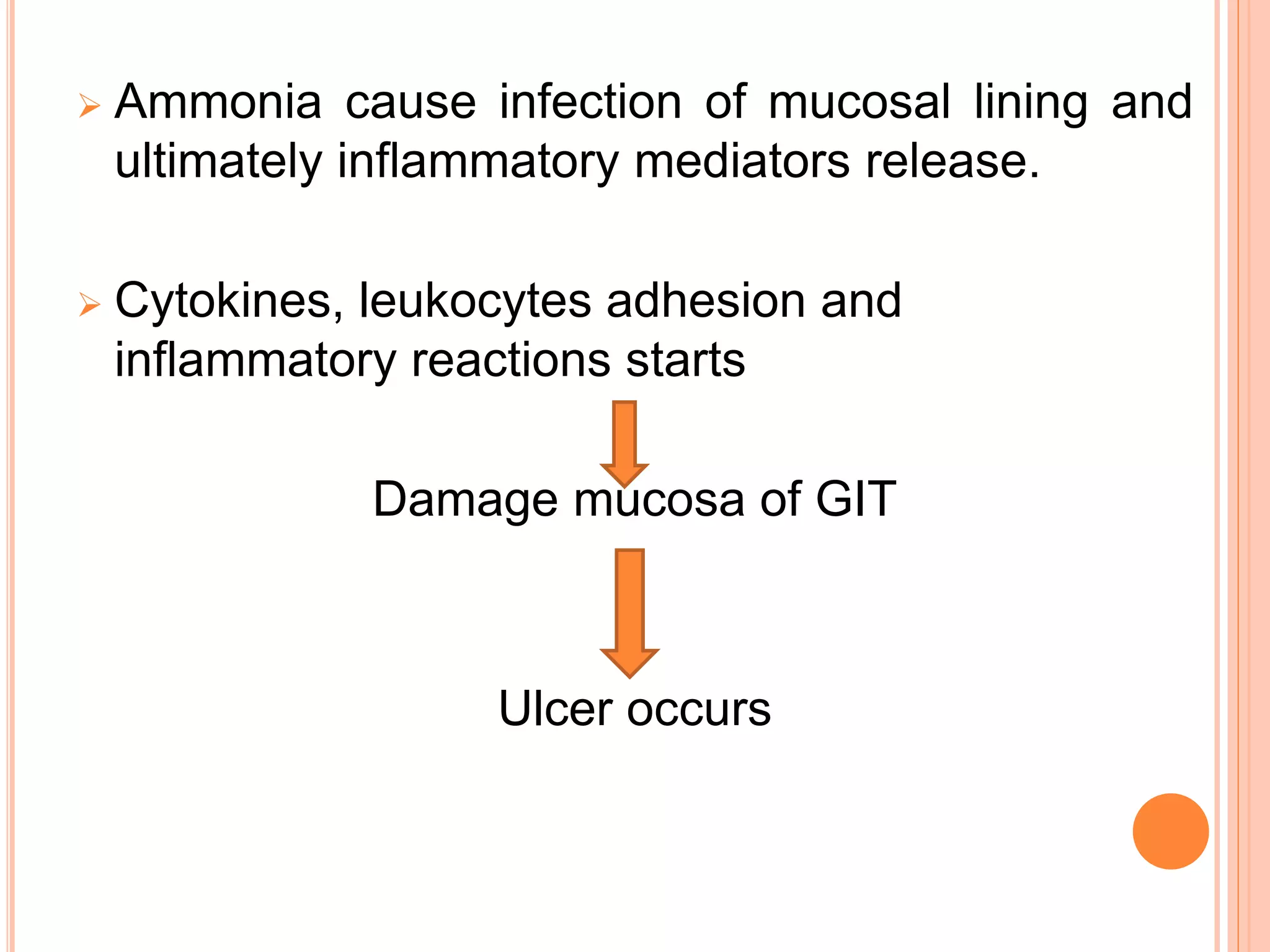 Pathophysiology of peptic ulcer | PPTX