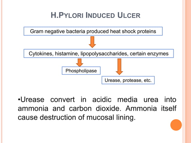 Pathophysiology of peptic ulcer | PPTX