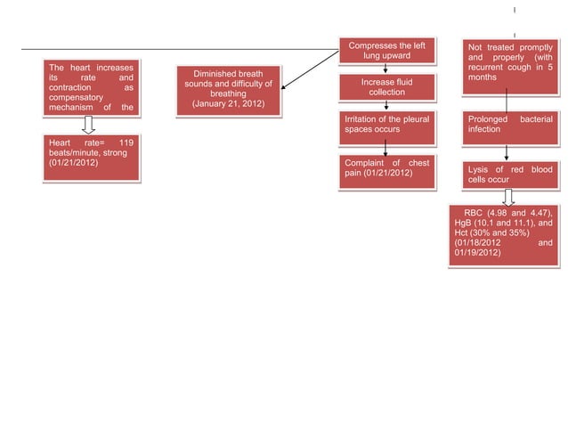 Pleural Effusion Pathophysiology Schematic Diagram Patho Ple