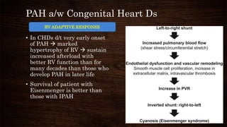 Pathophysiology of pulmonary hypertension | PPTX | Lung and Respiratory ...