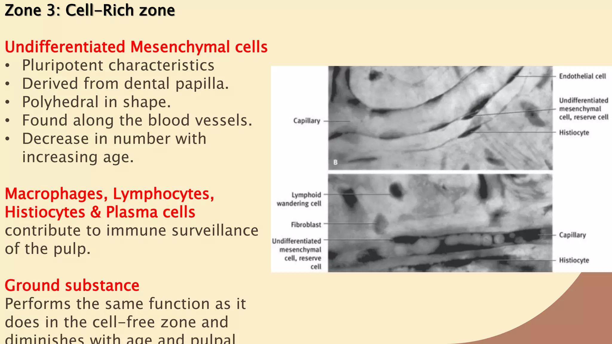 Pathophysiology of pulp | PPTX