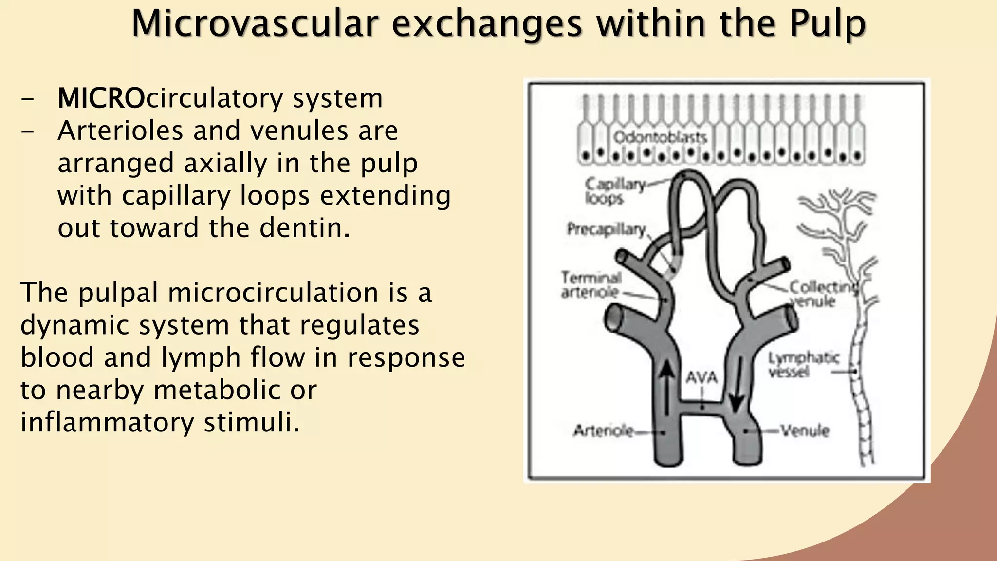 Pathophysiology of pulp | PPTX