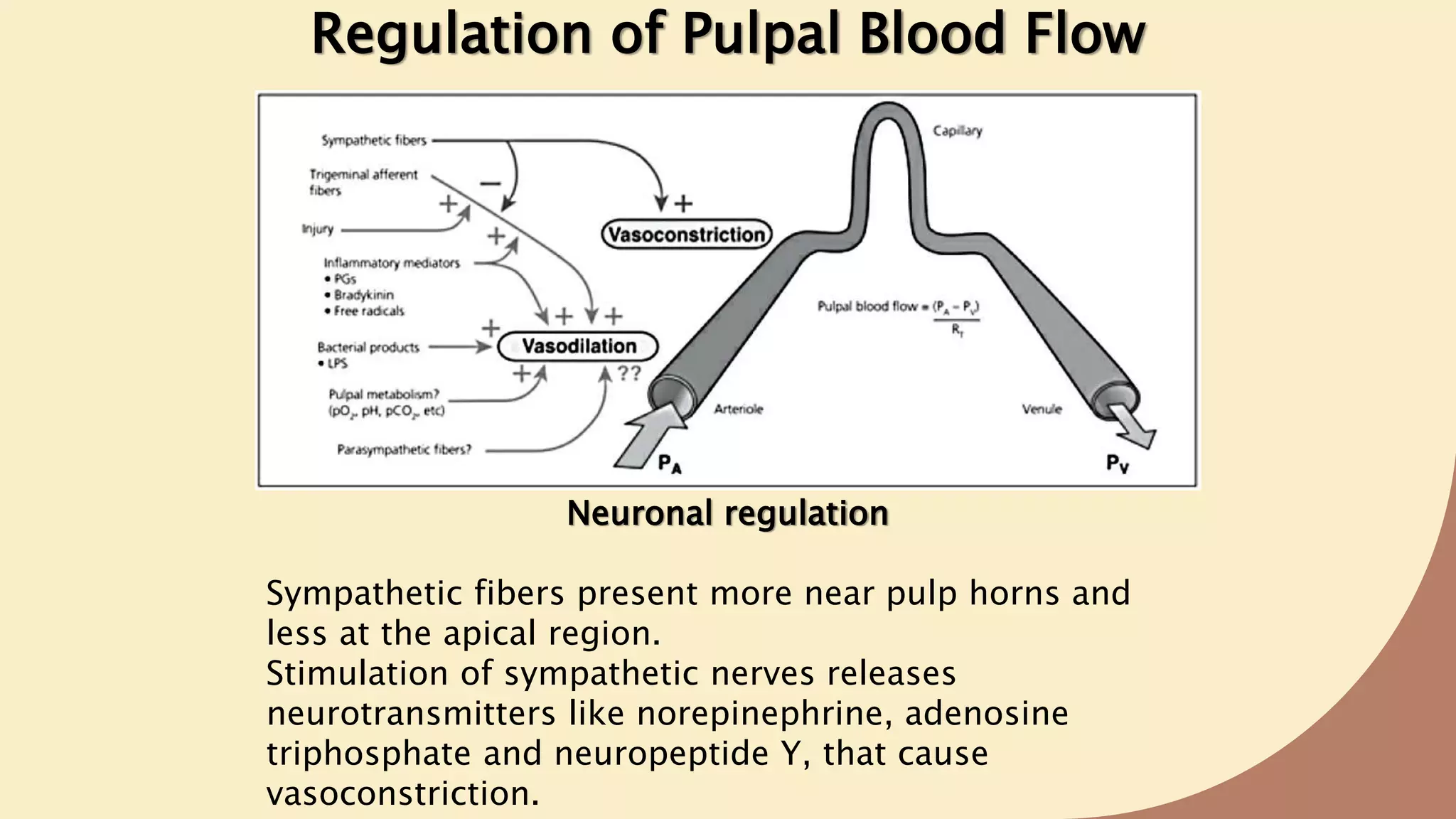 Pathophysiology of pulp | PPTX