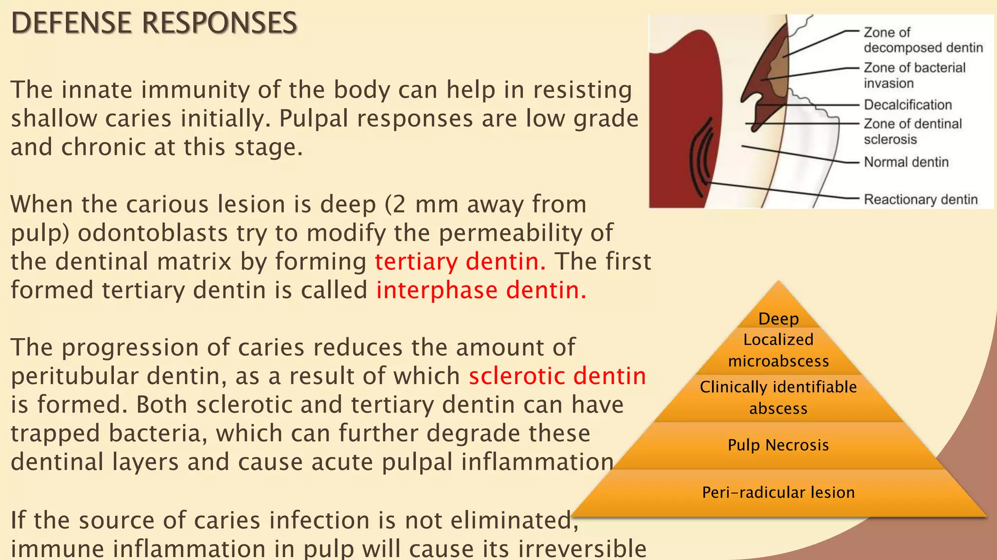 Pathophysiology of pulp | PPTX