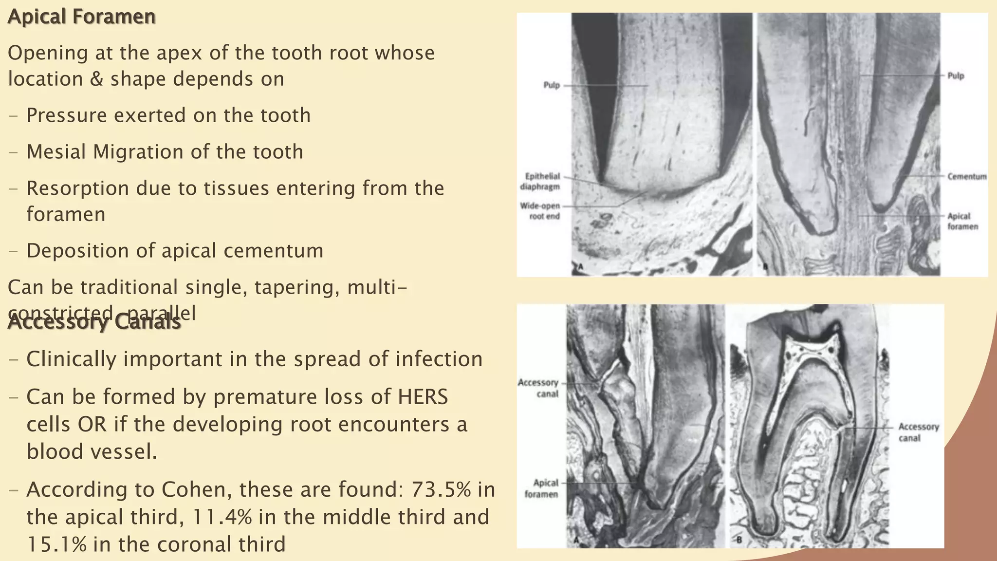 Pathophysiology of pulp | PPTX