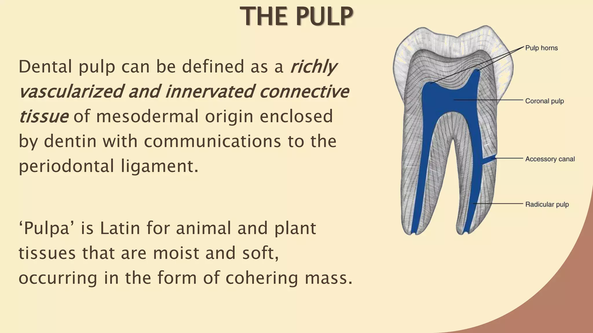 Pathophysiology of pulp | PPTX | Dental Health | Diseases and Conditions