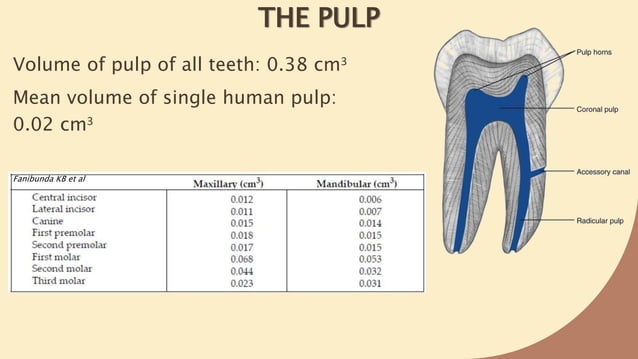 Pathophysiology of pulp | PPTX | Dental Health | Diseases and Conditions