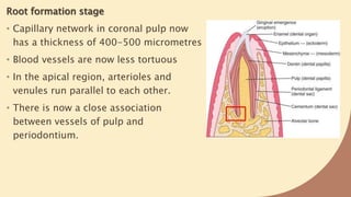 Pathophysiology of pulp | PPTX