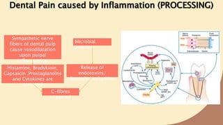 Pathophysiology of pulp | PPTX