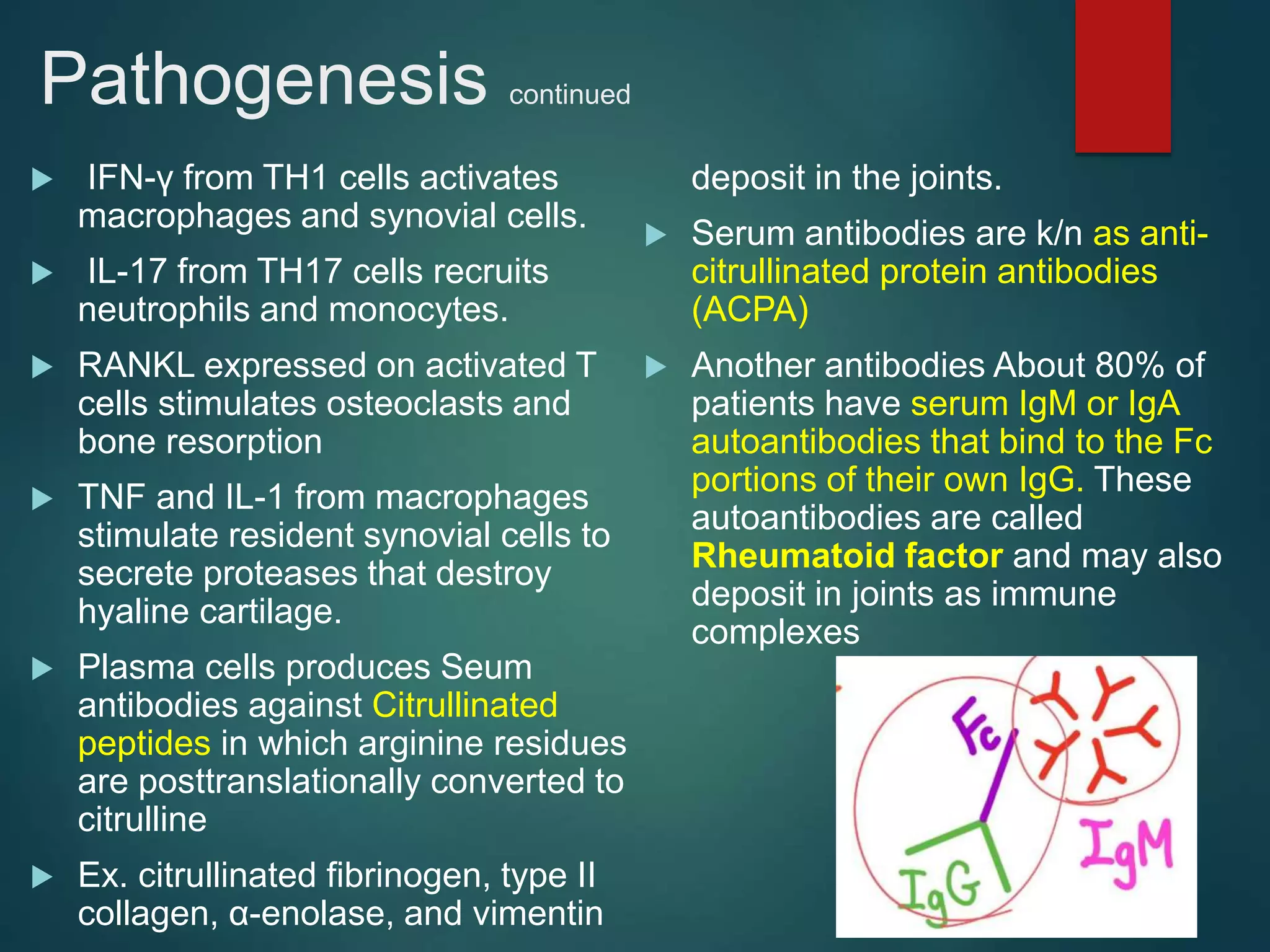 Pathophysiology of Rheumatoid Arthritis | PPTX