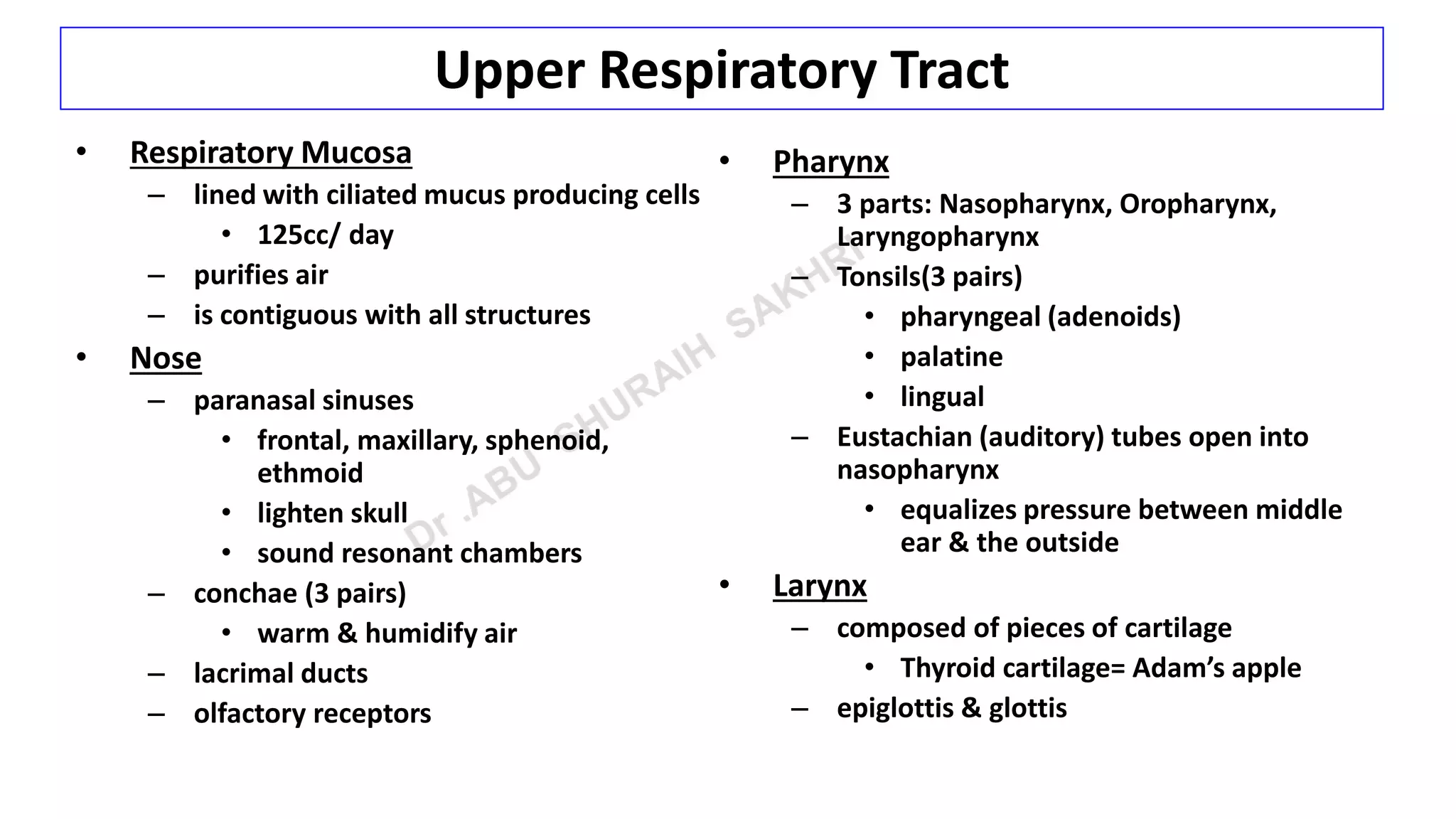 Pathophysiology Of Respiratory Disease | PPT