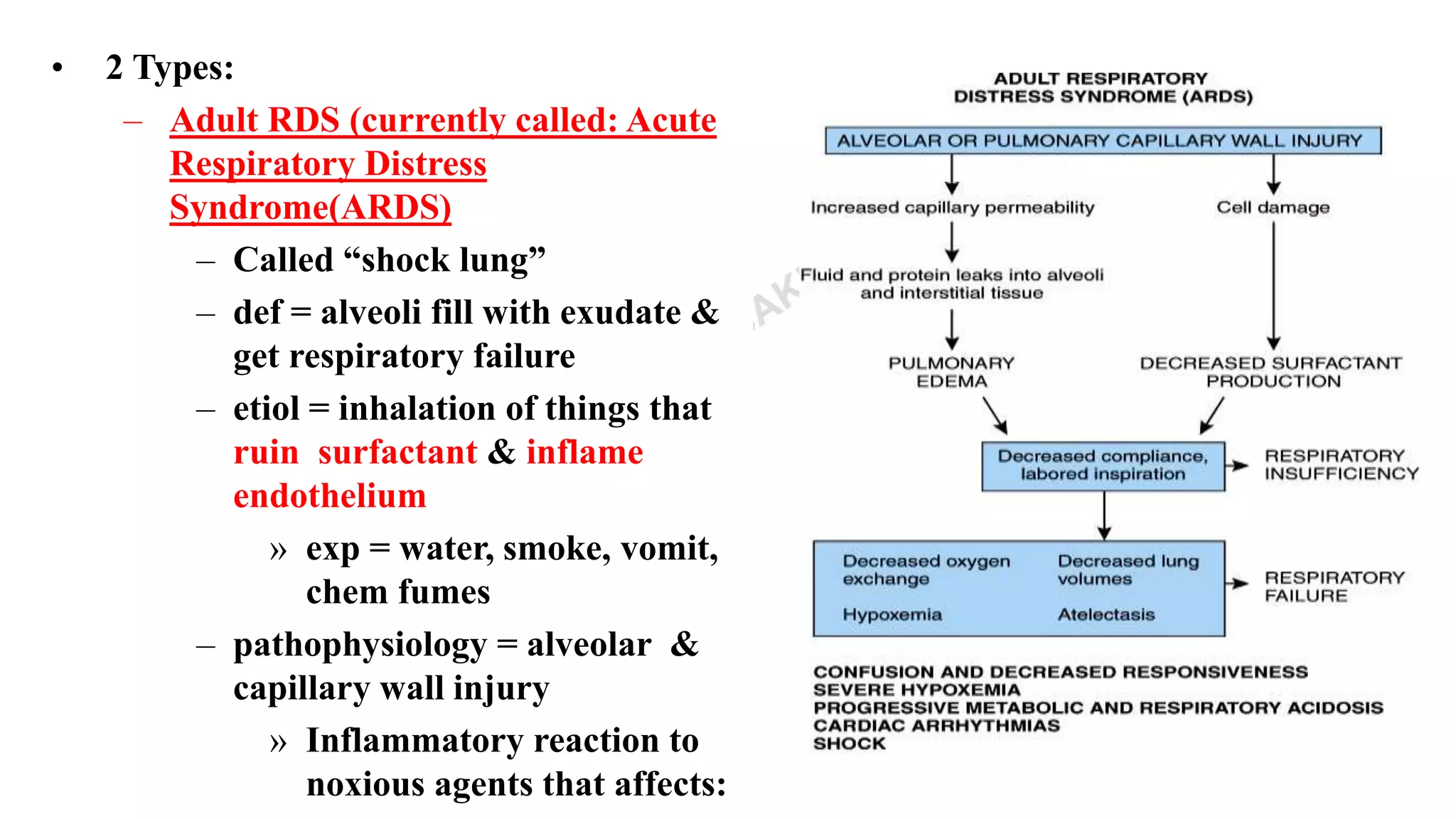 Pathophysiology Of Respiratory Disease | PPT