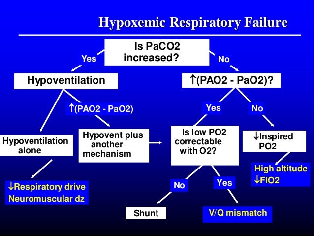 Pathophysiology of Respiratory Failure