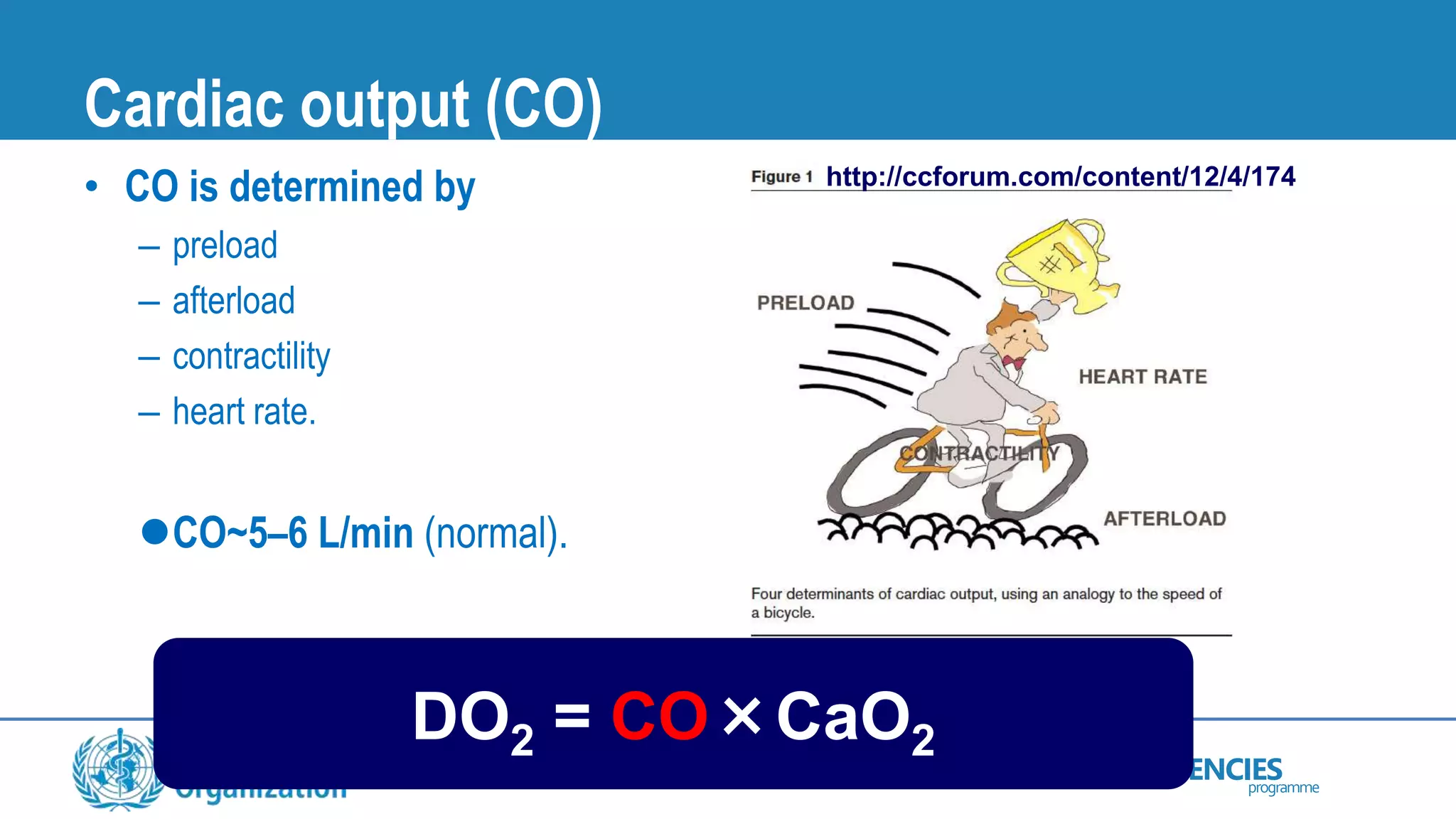 Pathophysiology of sepsis and ARDS.pptx
