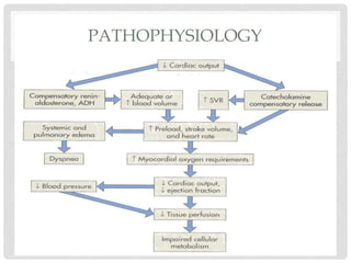 Pathophysiology of shock | PPTX