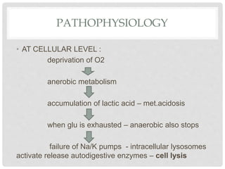 Pathophysiology of shock | PPTX