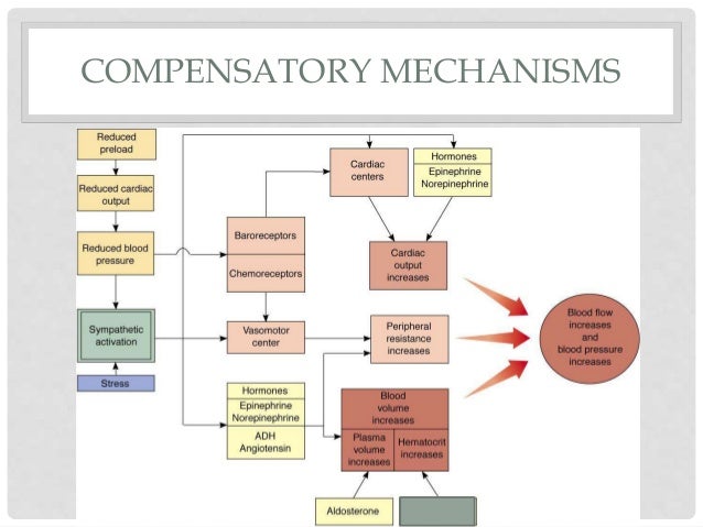 Pathophysiology of shock