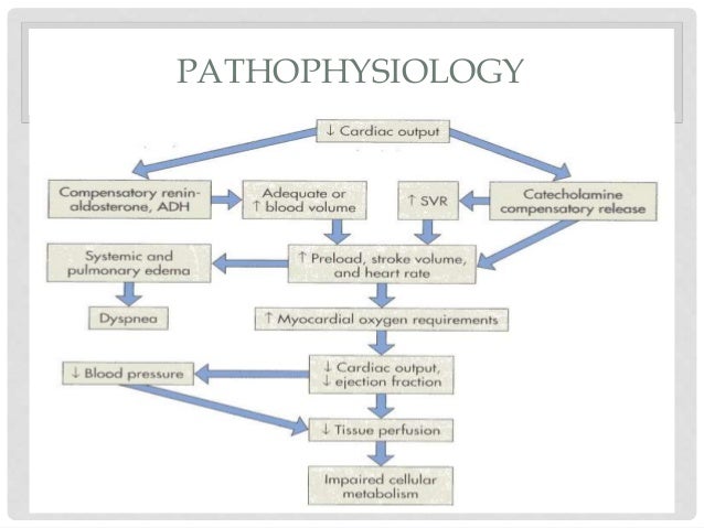 Pathophysiology of shock