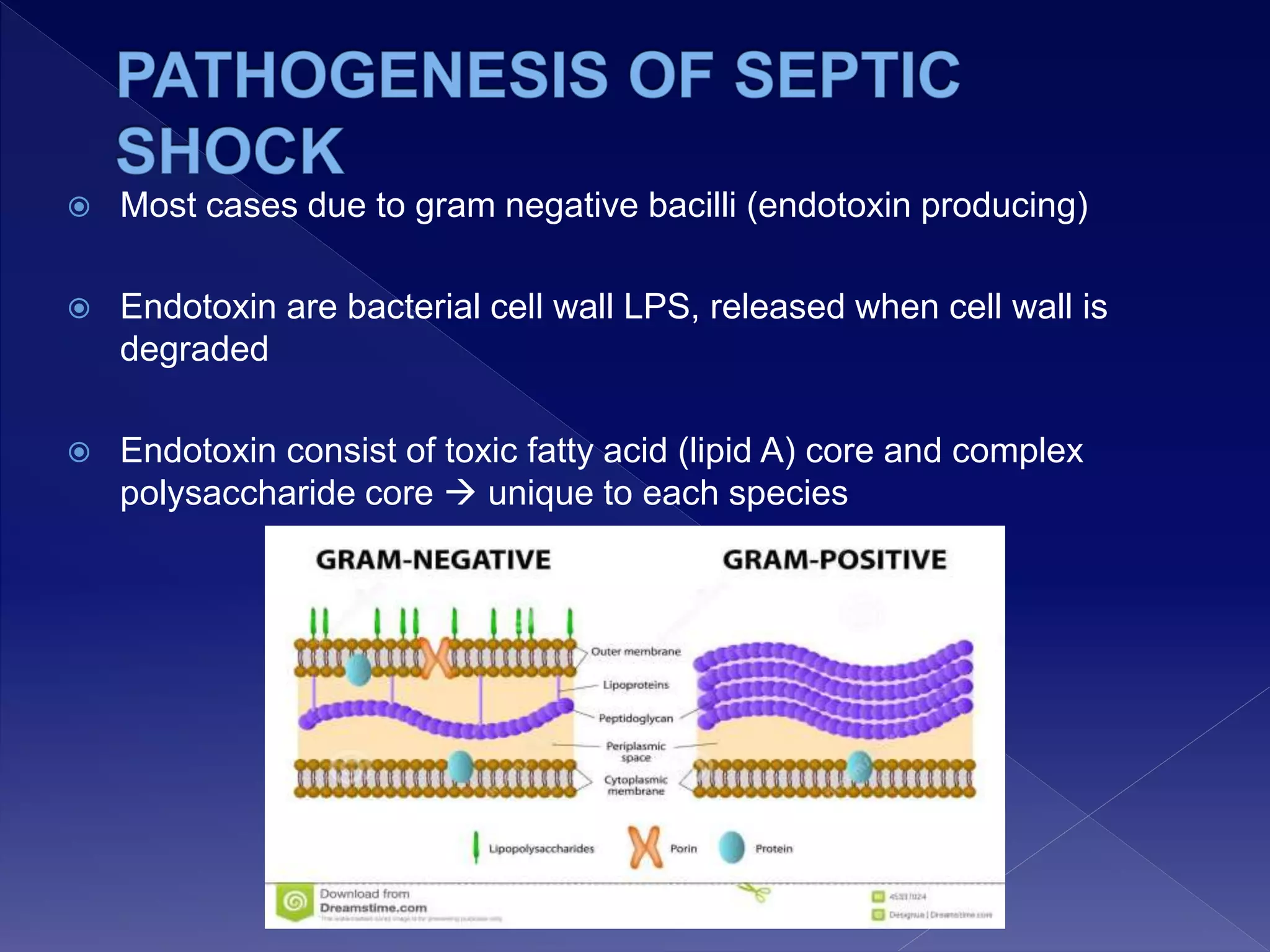 Pathophysiology of shock | PPT