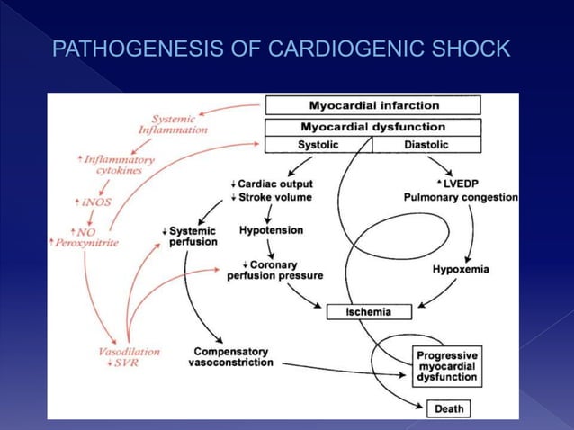 Pathophysiology of shock | PPT