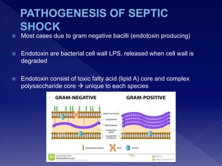 Pathophysiology of shock | PPTX