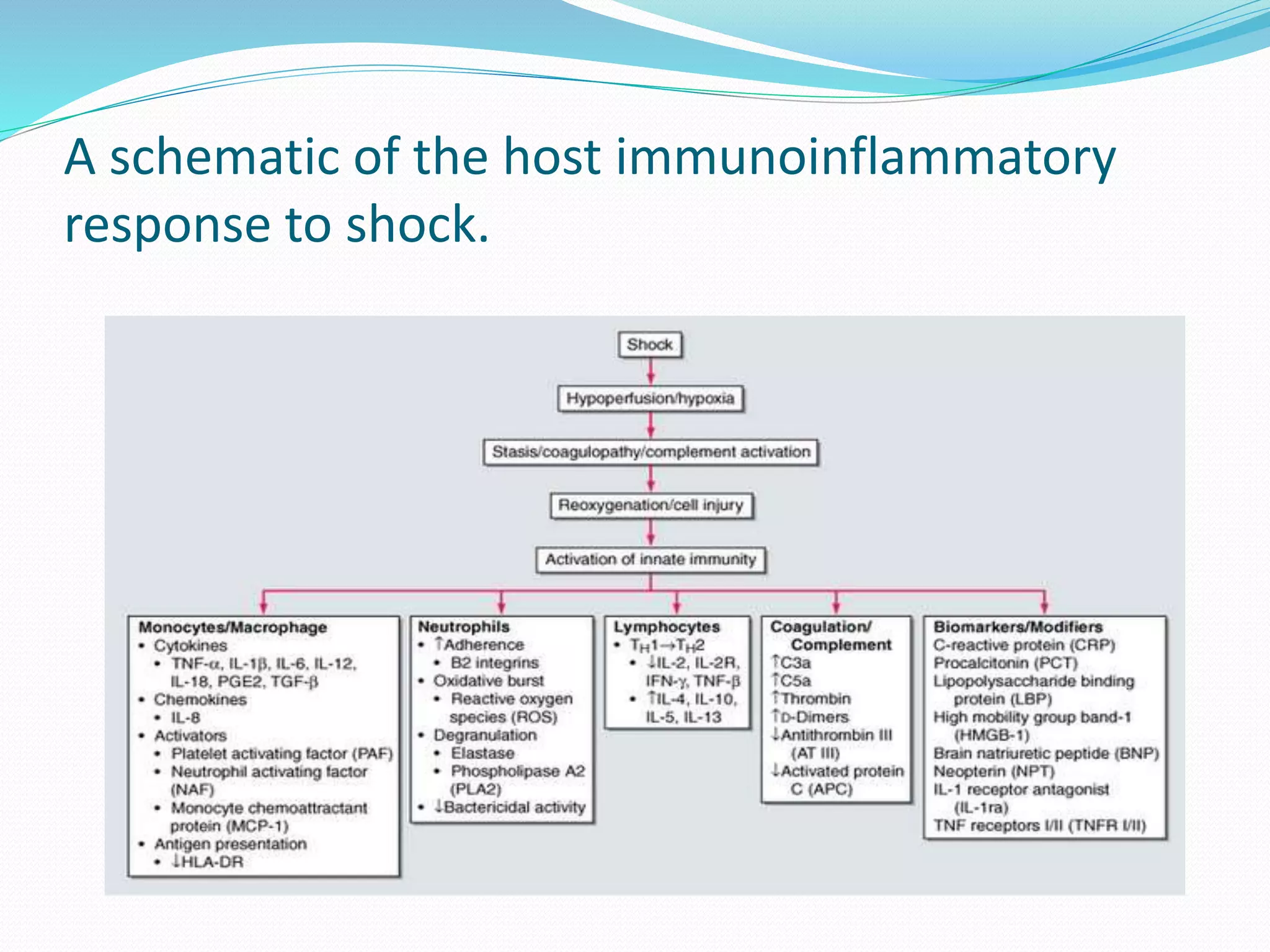 Pathophysiology of shock | PPTX