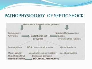 Pathophysiology of shock | PPTX