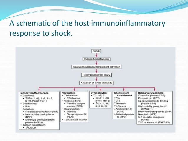 Pathophysiology of shock | PPTX | Lung and Respiratory Health ...