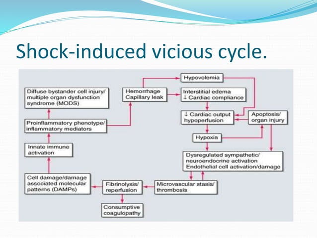 Pathophysiology of shock | PPTX | Lung and Respiratory Health ...