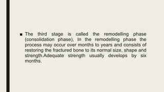 PATHOPHYSIOLOGY OF SKELETAL MUSCLE copy.pptx