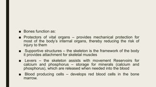 PATHOPHYSIOLOGY OF SKELETAL MUSCLE copy.pptx