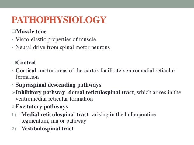 Pathophysiology of spasticity