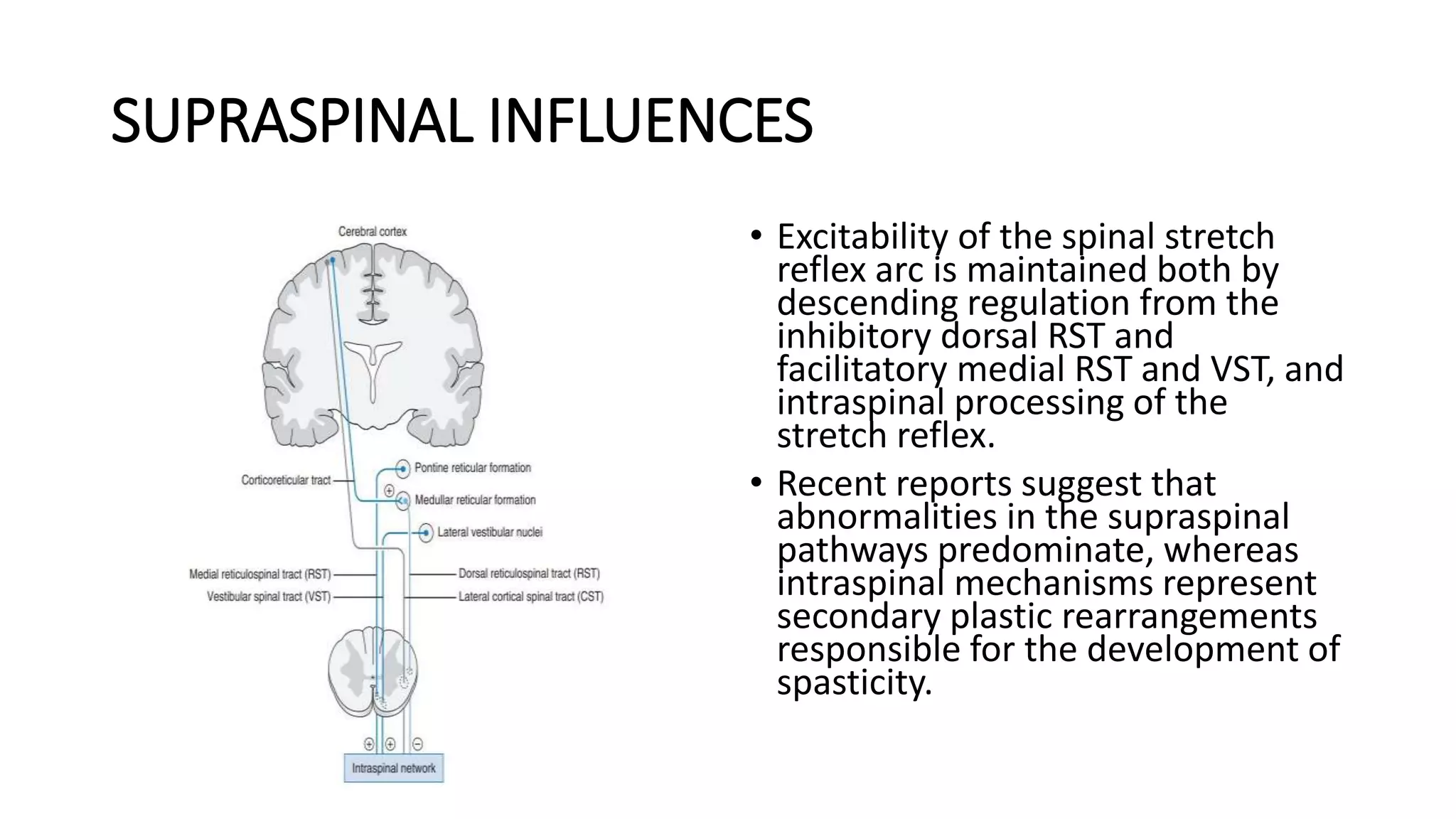 PATHOPHYSIOLOGY OF SPASTICITY.pptx