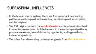 PATHOPHYSIOLOGY OF SPASTICITY.pptx