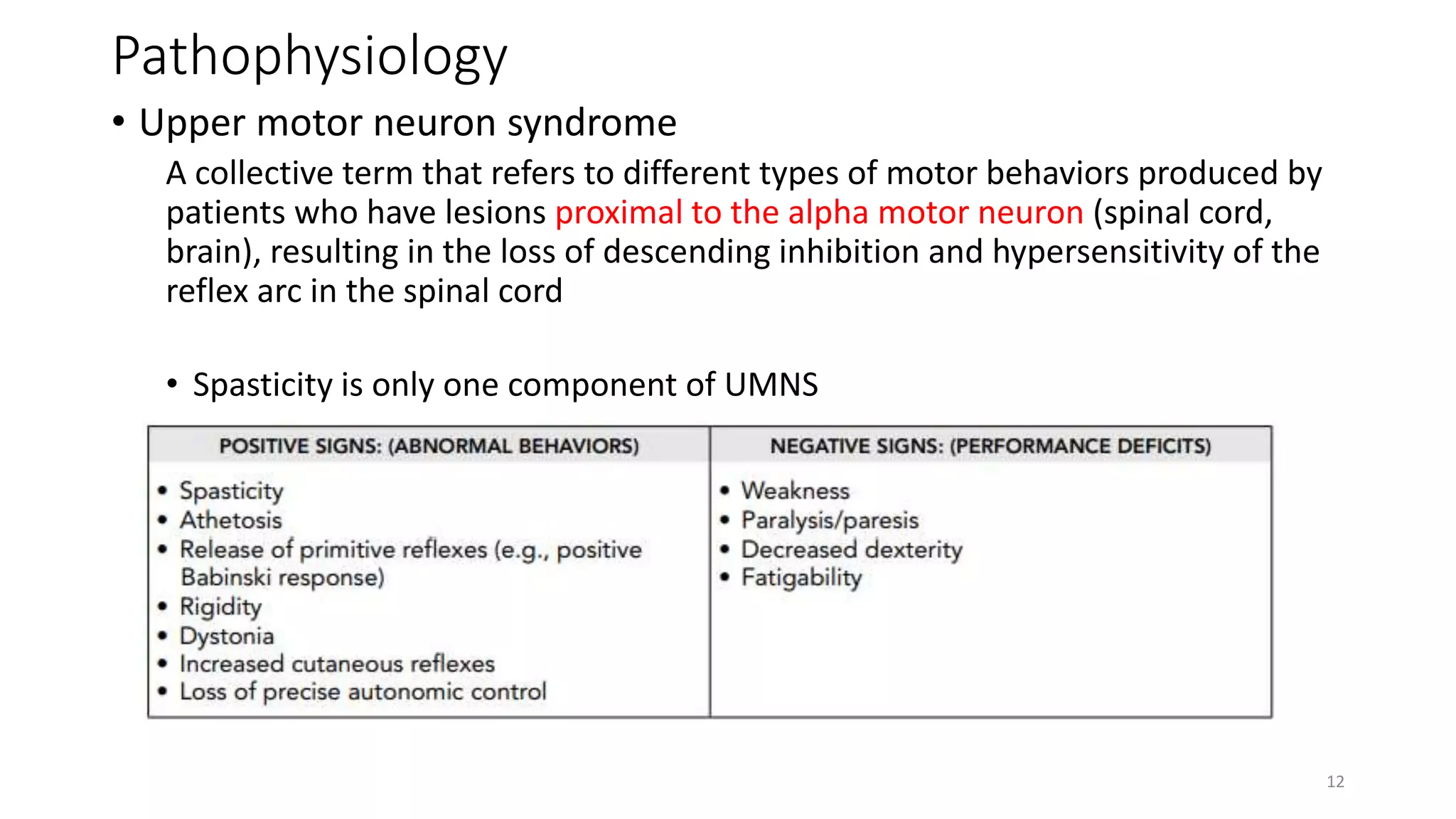 Pathophysiology of Spasticity | PPTX